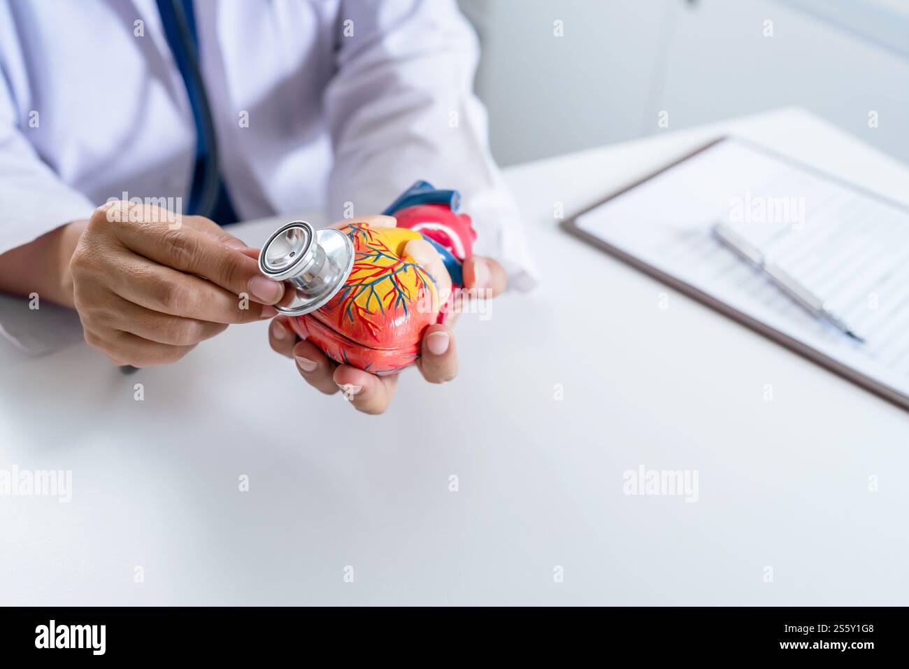 Doctor with anatomical model of human heart Cardiologist supports the ...