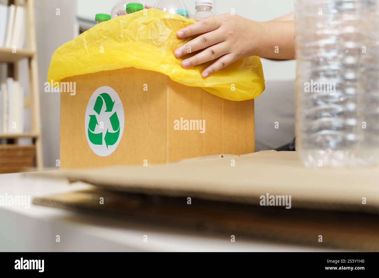 Home recycle eco green zero concept Woman throwing empty plastic bottle in recycling bin with ...