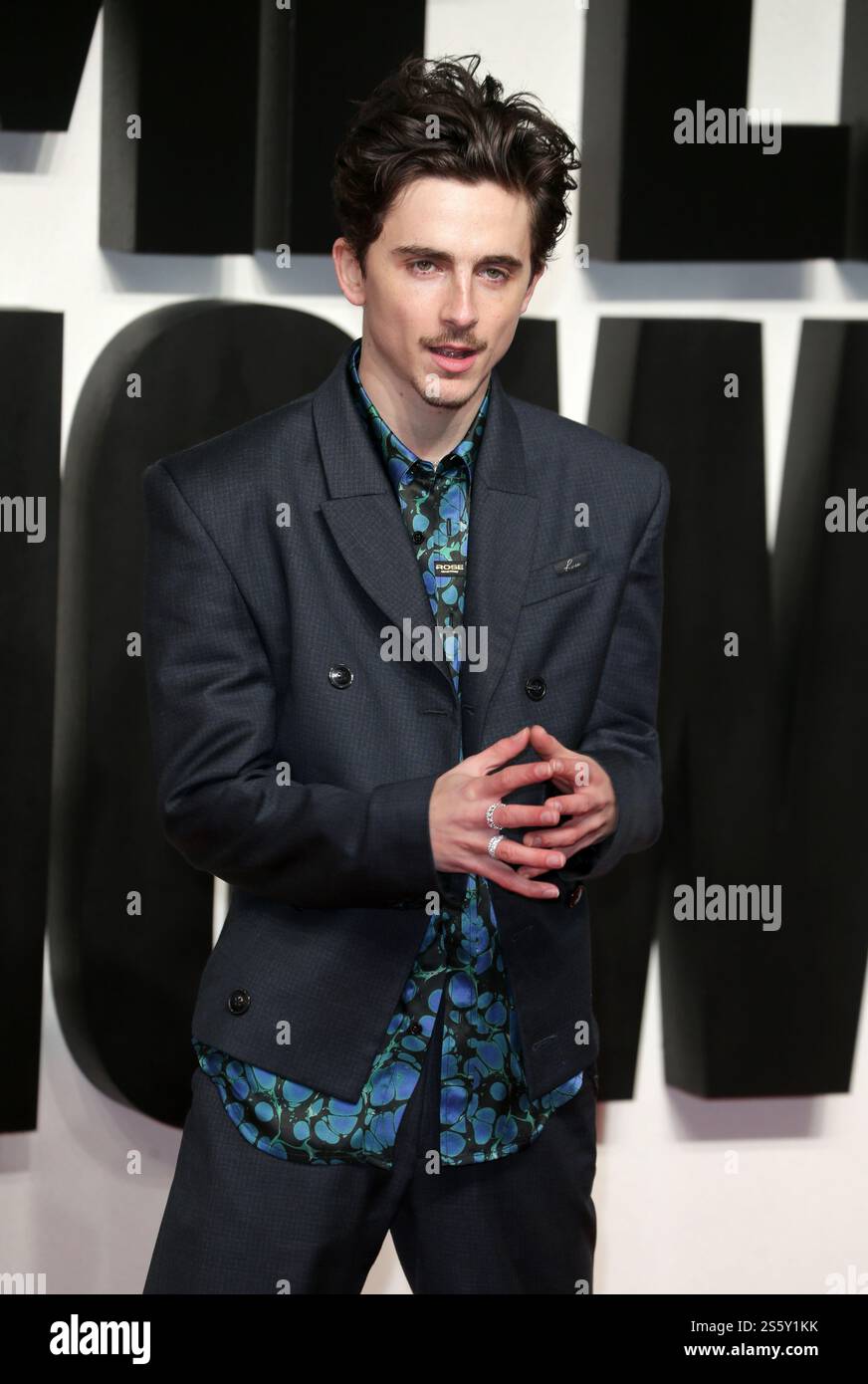 Timothée Chalamet attends the UK Premiere of "A Complete Unknown" at ...