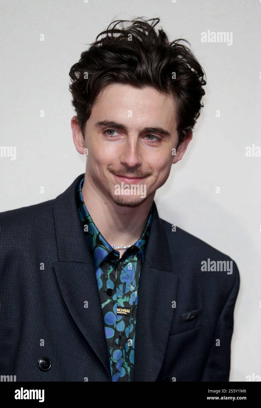 Timothée Chalamet attends the UK Premiere of "A Complete Unknown" at ...