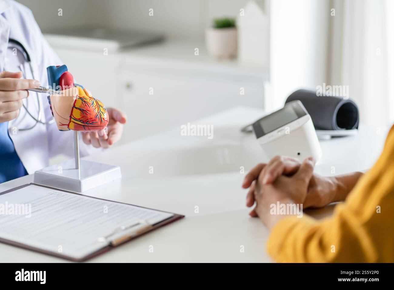 Cardiology Consultation treatment of heart disease. Doctor cardiologist ...