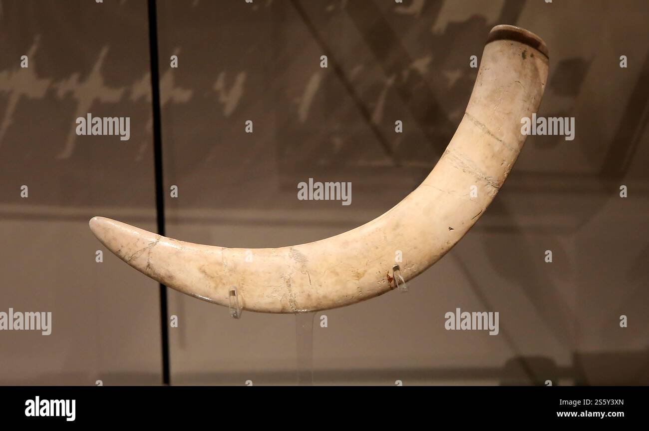 Ritual wands and fragment of clapper terminating in a hand, made of ...