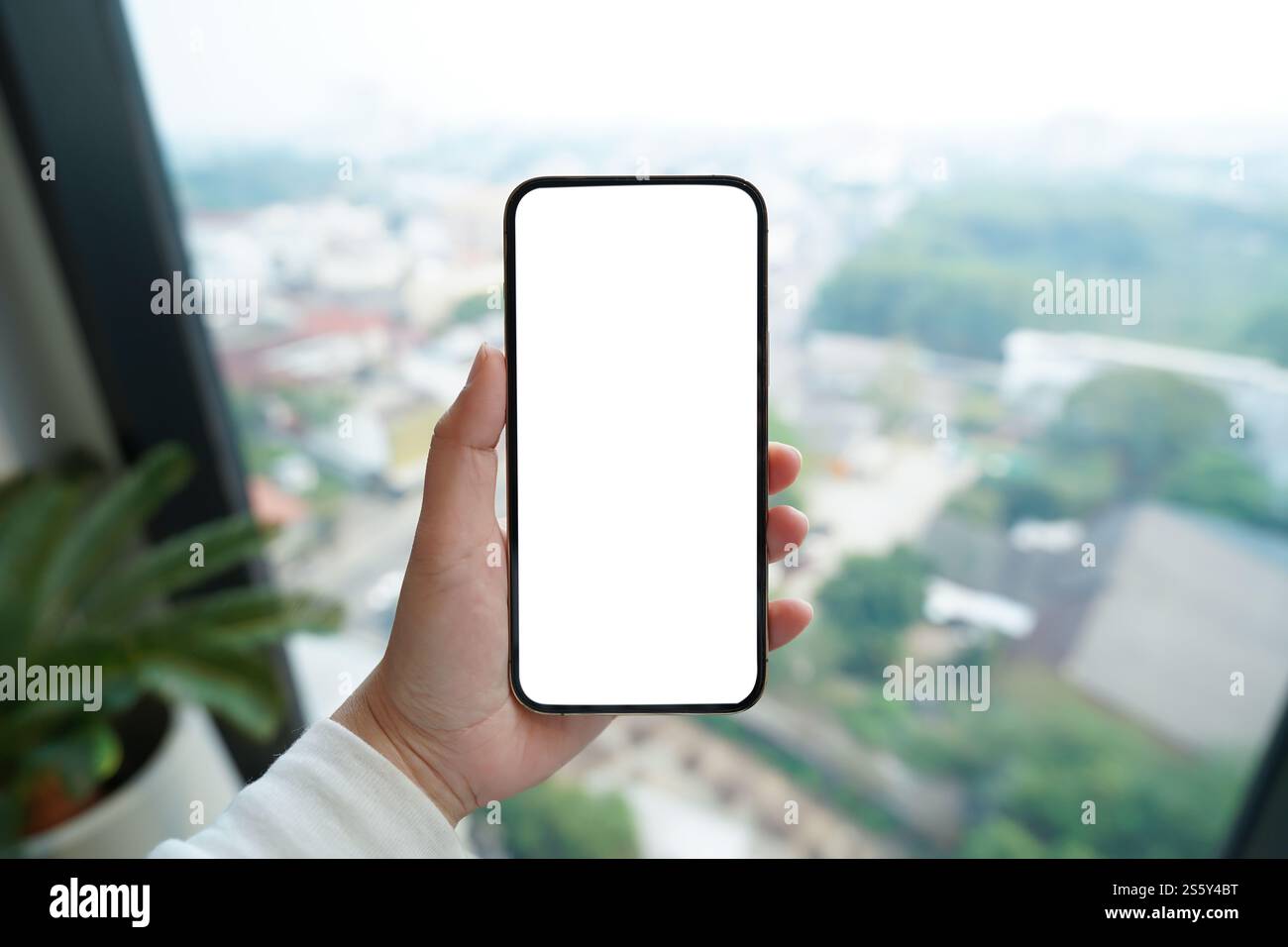 Women's hands holding cell telephone blank copy space screen ...