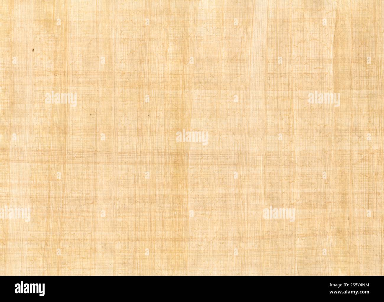 Old brown papyrus background texture. Vintage wallpaper. Old papyrus ...
