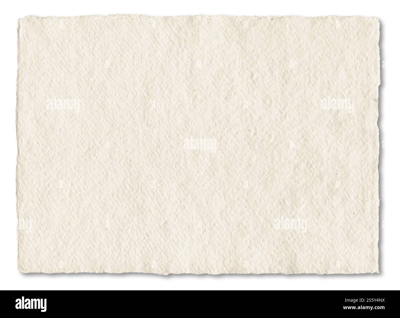 Natural art paper texture. Parchment background wallpaper. Isolated on ...