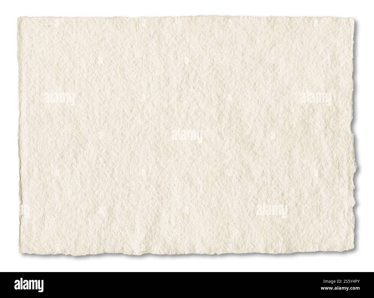 Natural art paper texture. Parchment background wallpaper. Isolated on ...