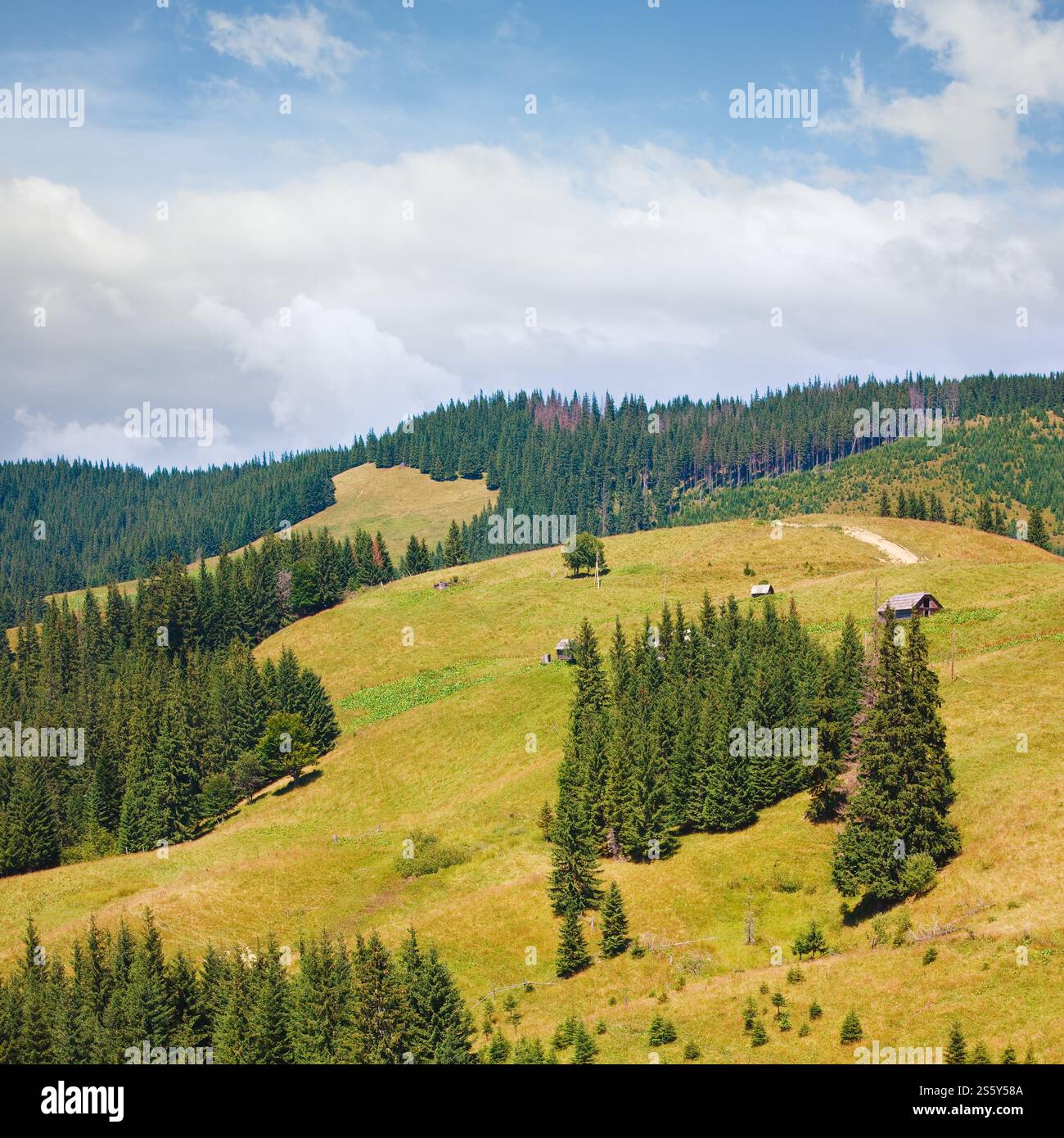 Summer mountain village landscape with hamlet on hill top Stock Photo ...