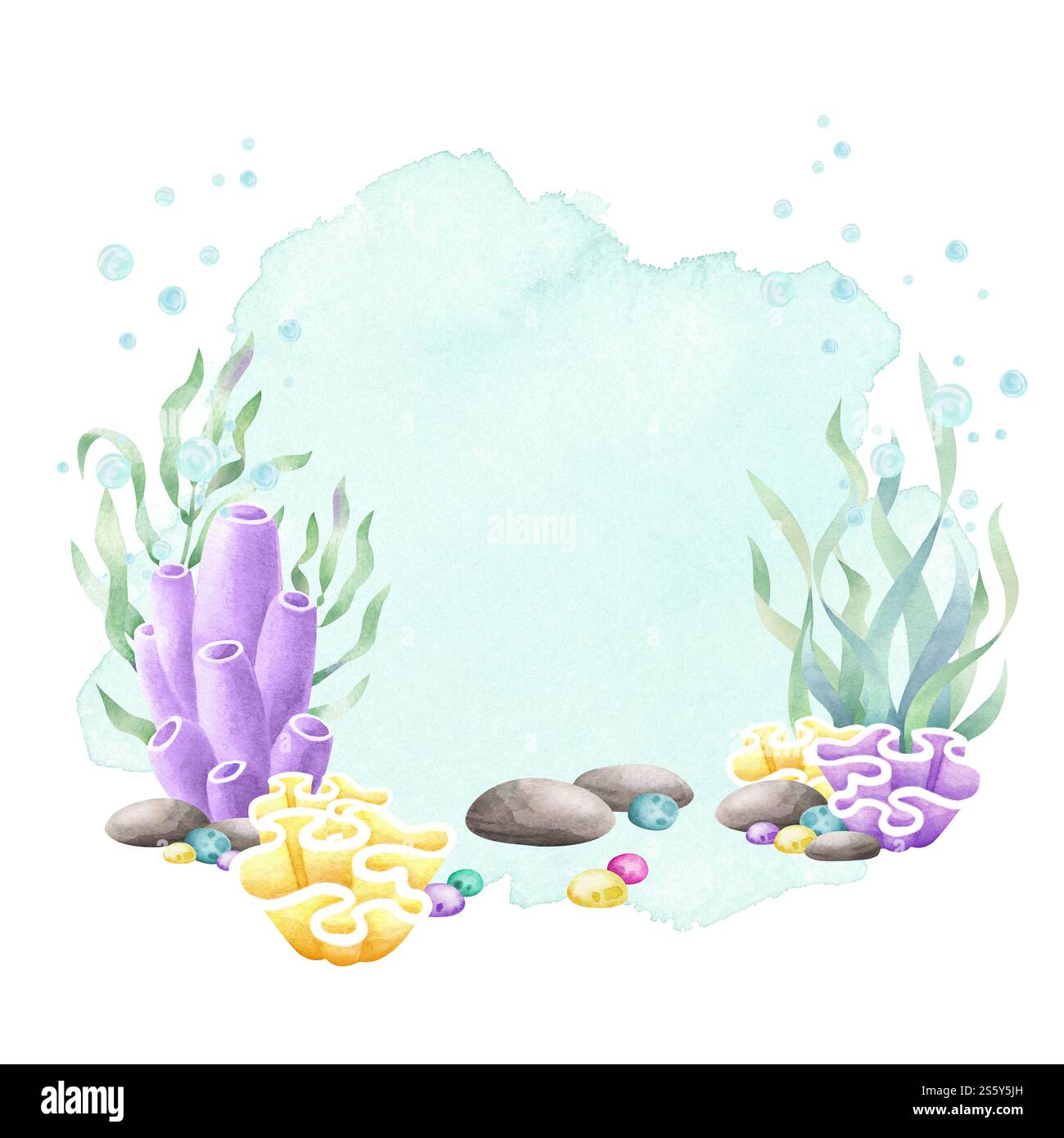 Seaweed, coral, pebbles, stones, algae watercolor isolated illustration ...