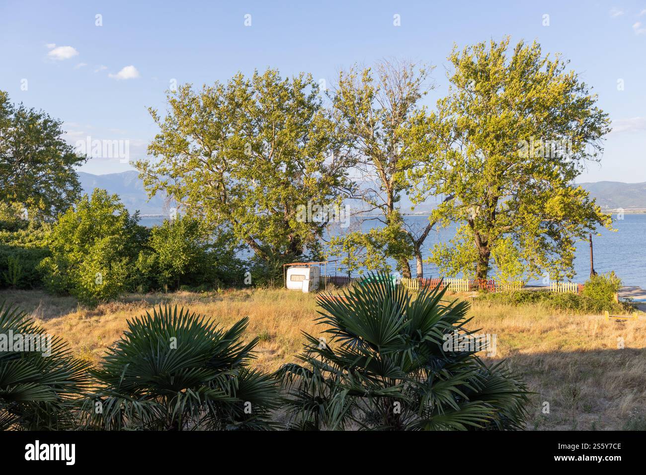 View on Doiran lake through trees on shore, North Macedonia Stock Photo ...