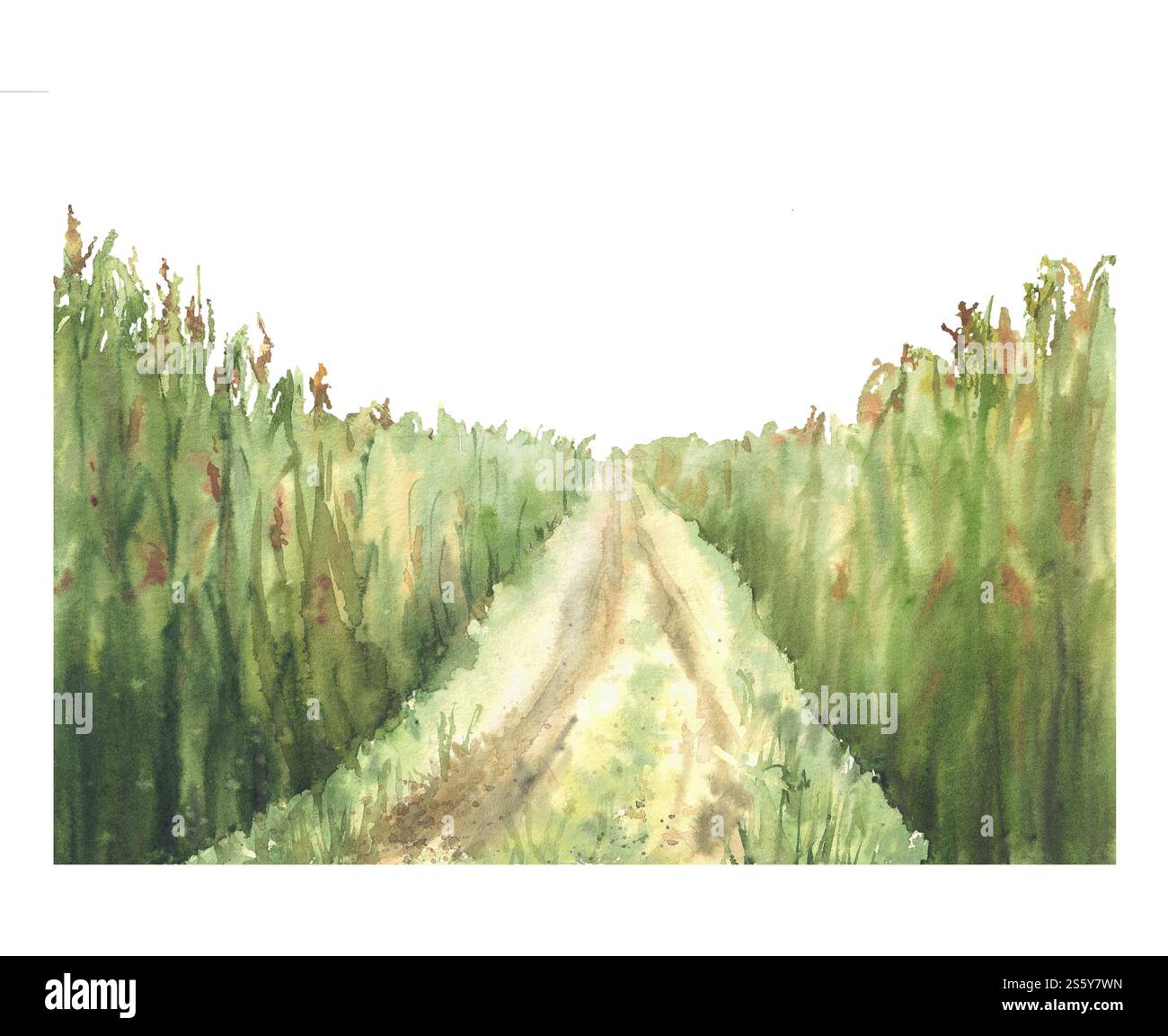 Agriculture field road Cut Out Stock Images & Pictures - Alamy