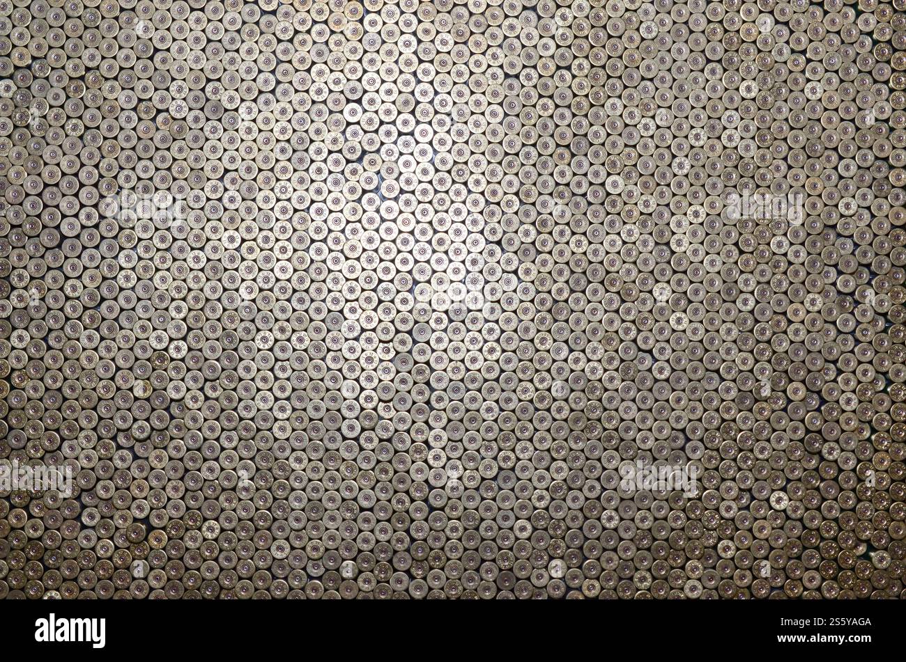 Pattern of 12 gauge cartridges for shotgun bullets. Shells for hunting ...