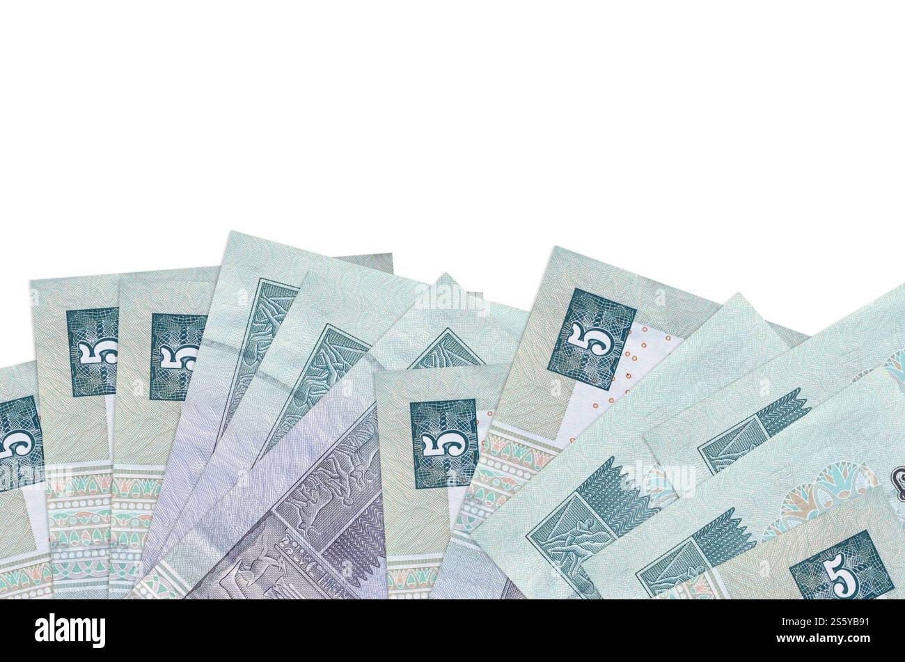 5 Egyptian pounds bills lies on bottom side of screen isolated on white ...