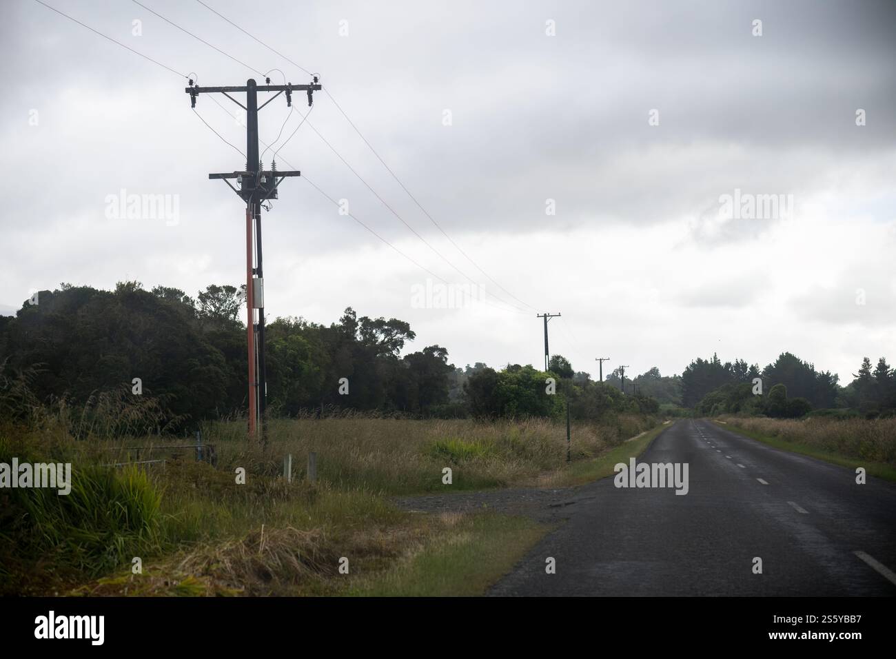 Power posts and power cables along a country road. Taranaki Stock Photo ...