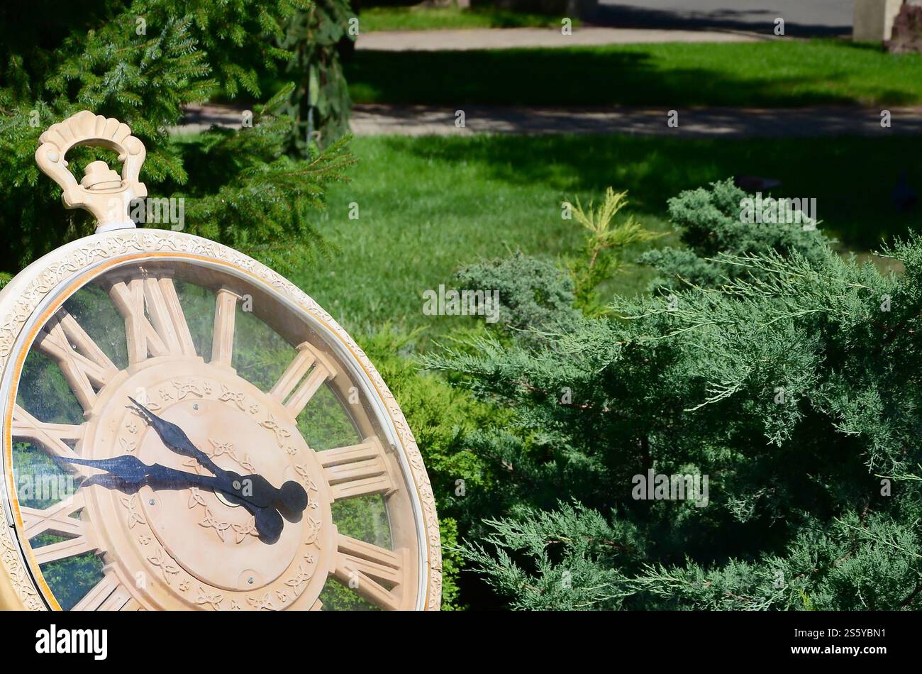 Street clock in a park under branches of trees covered with green ...