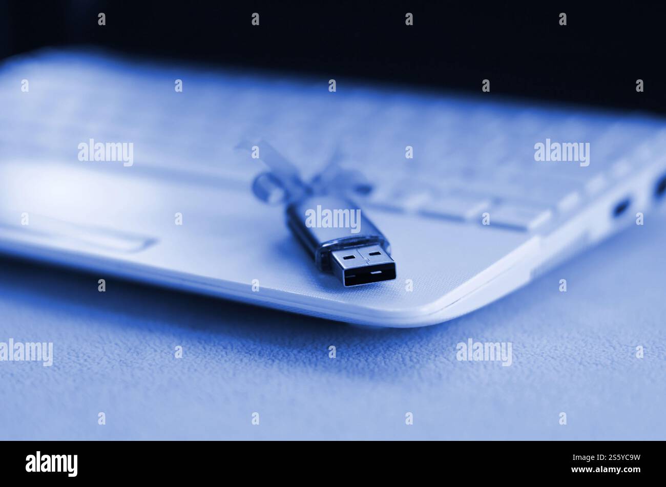 Usb flash memory card with bow lies on a blanket of soft and furry ...