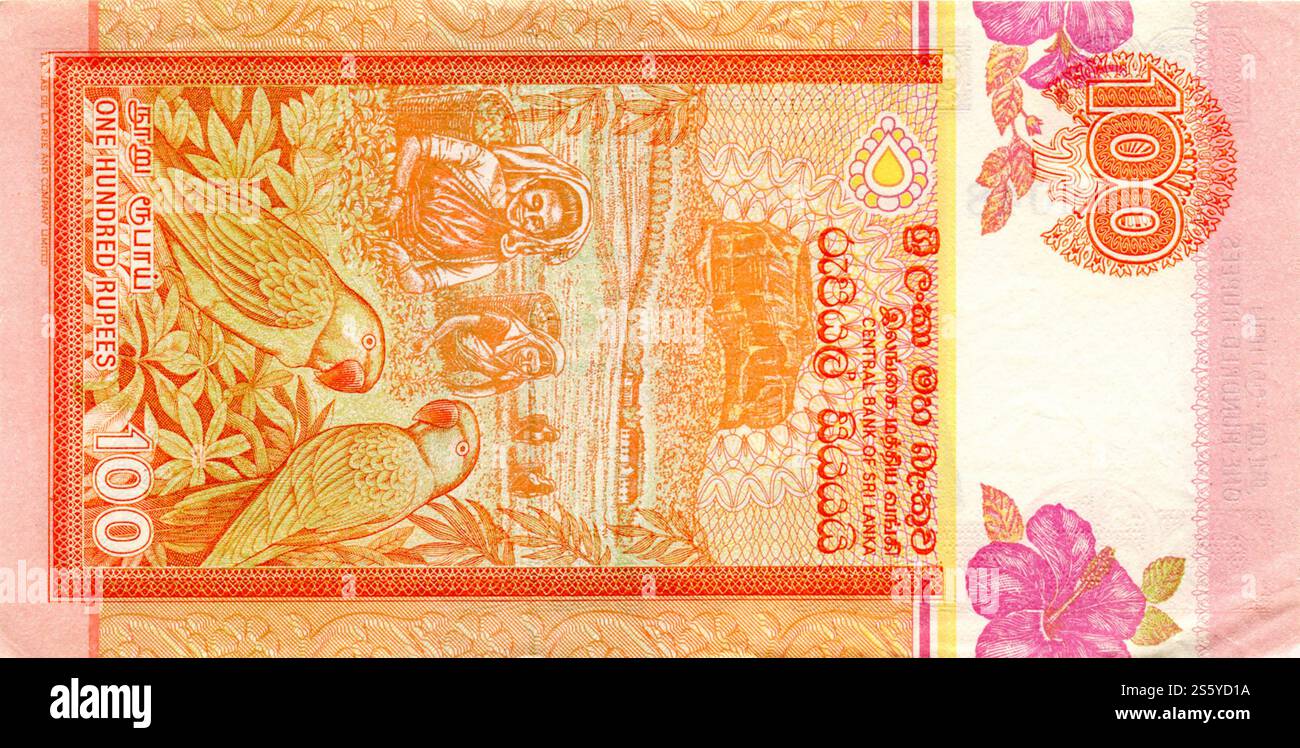 Fragment of 100 Sri Lanka rupees banknote is national currency of Sri ...