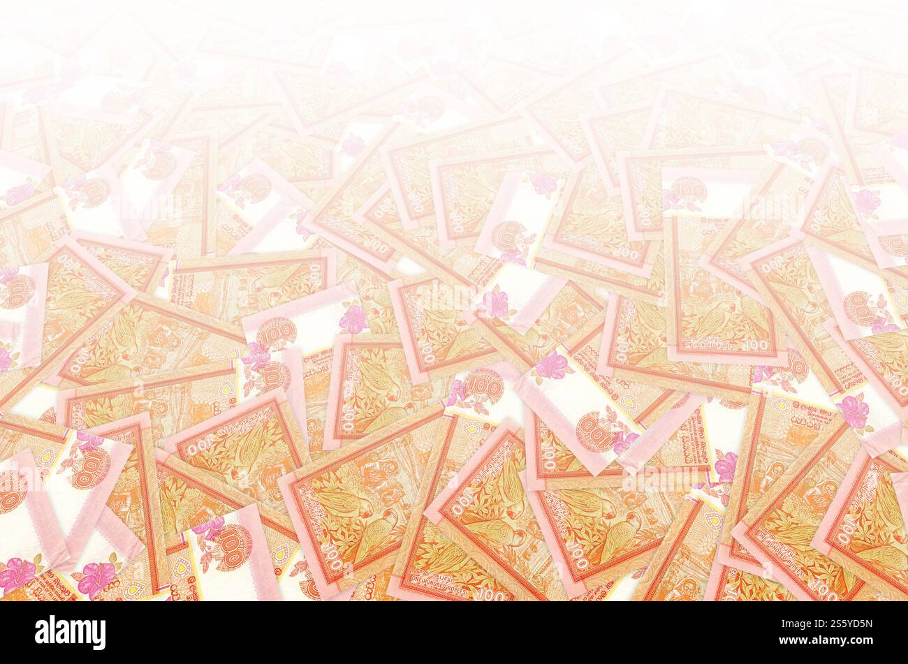 Pattern of 100 Sri Lanka rupees banknote is national currency of Sri ...