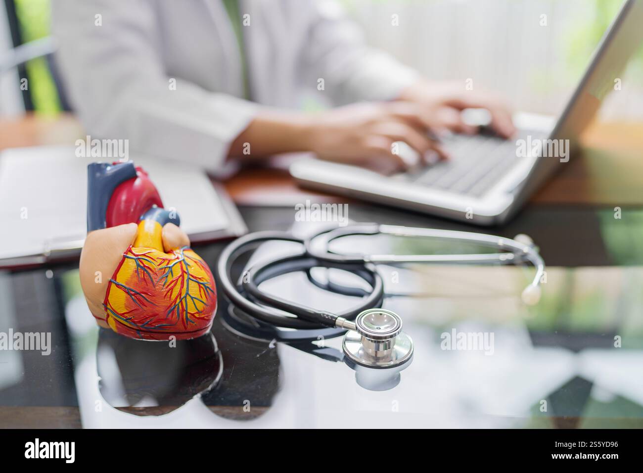 Doctor consult patient on laptop with anatomical model of human heart ...