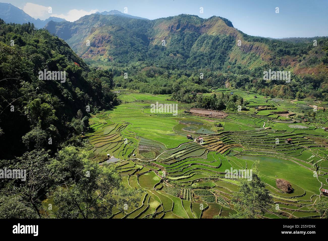 Rice Field Terracing in Sulawesi Stock Photo - Alamy