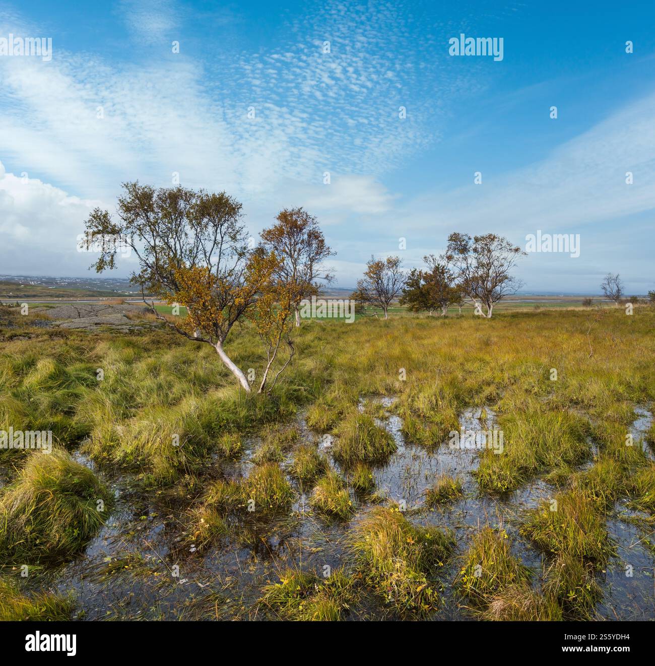 Beautiful mountain view during auto trip in North Iceland. Spectacular Icelandic landscape with ...
