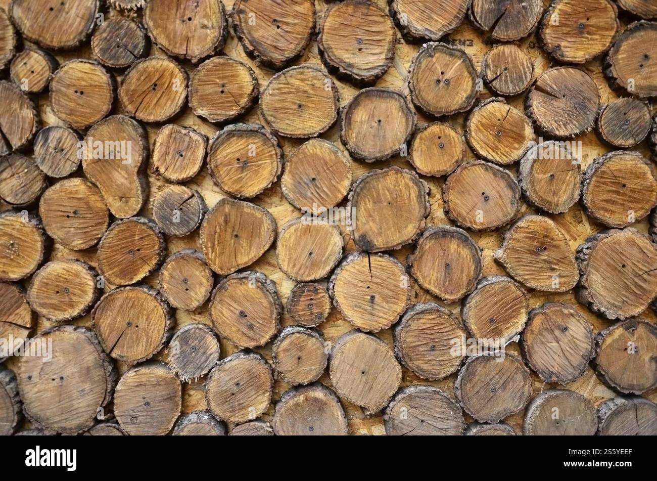 Decorative fence of wooden blocks. Rare wooden handmade wall contains ...