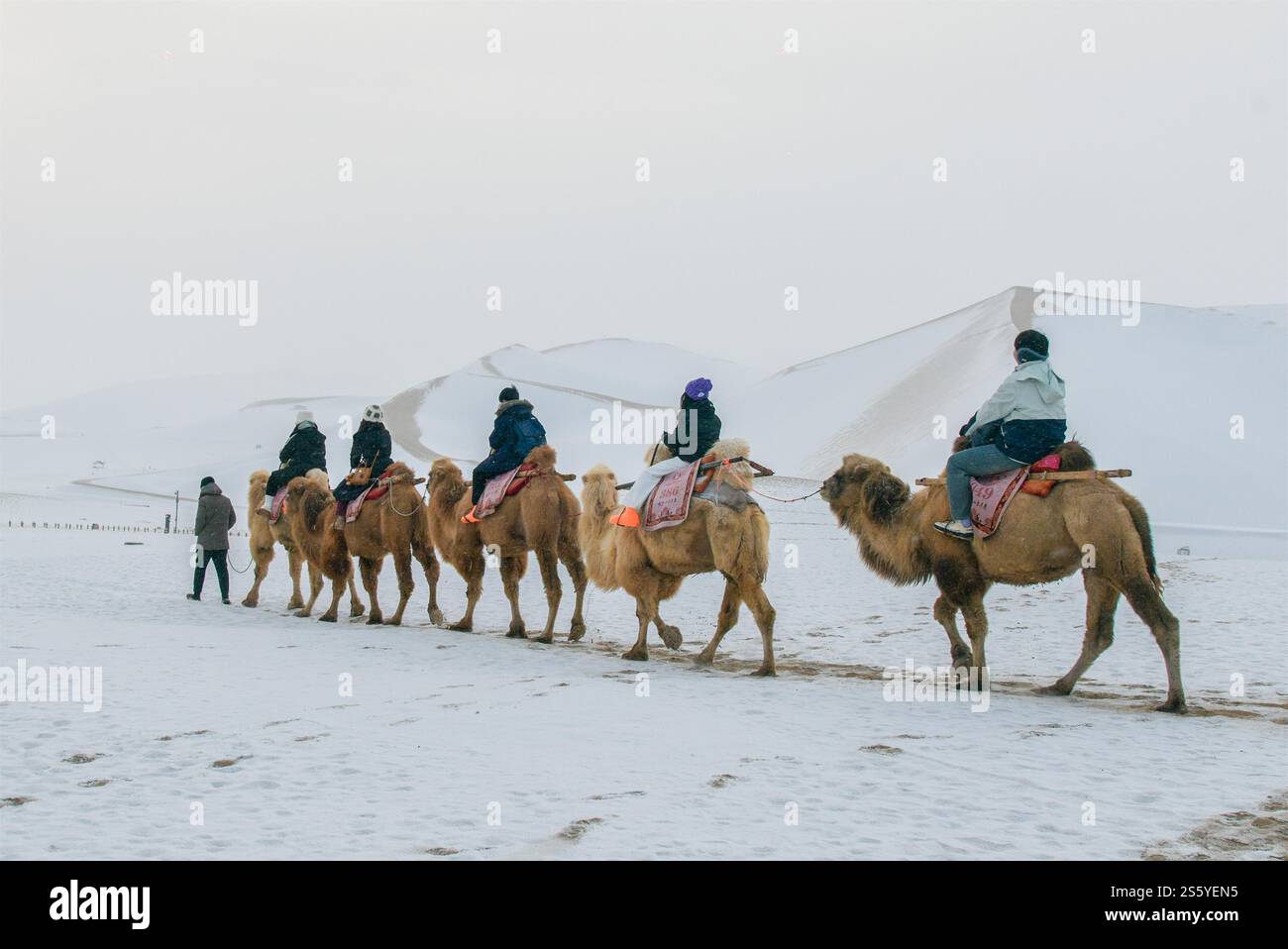 Tourists admire the snow scenery of the Mingsha Mountain and Yueya ...