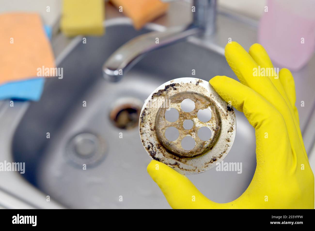 Cleaner in rubber gloves shows waste in the plughole protector of a ...