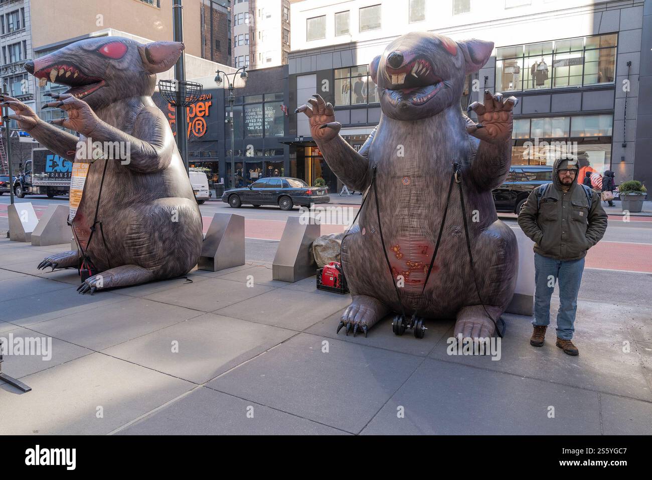 New York, New York, USA. 14th Jan, 2025. Union organizers from Local 79 ...