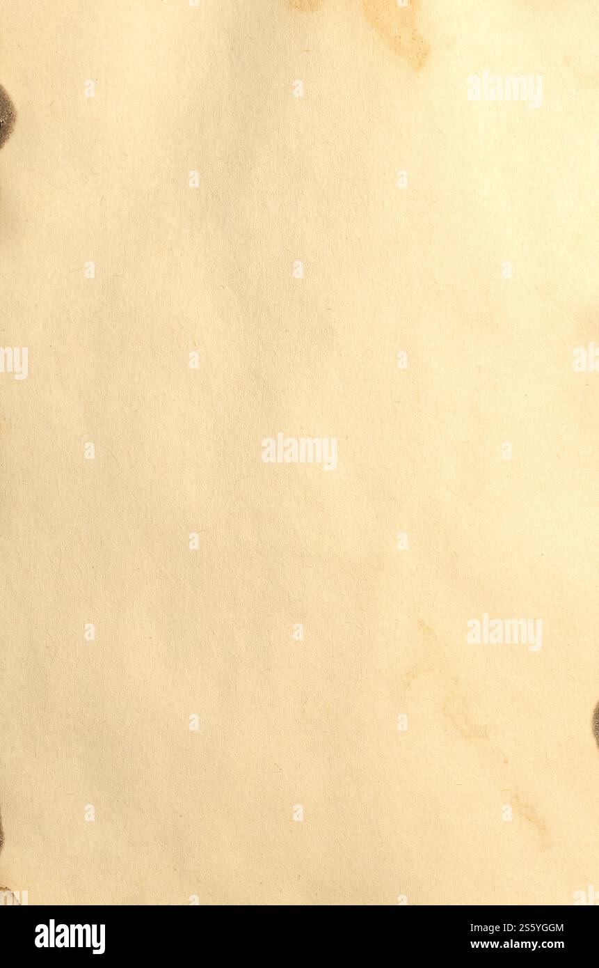 Old blank piece of antique vintage crumbling paper manuscript or ...