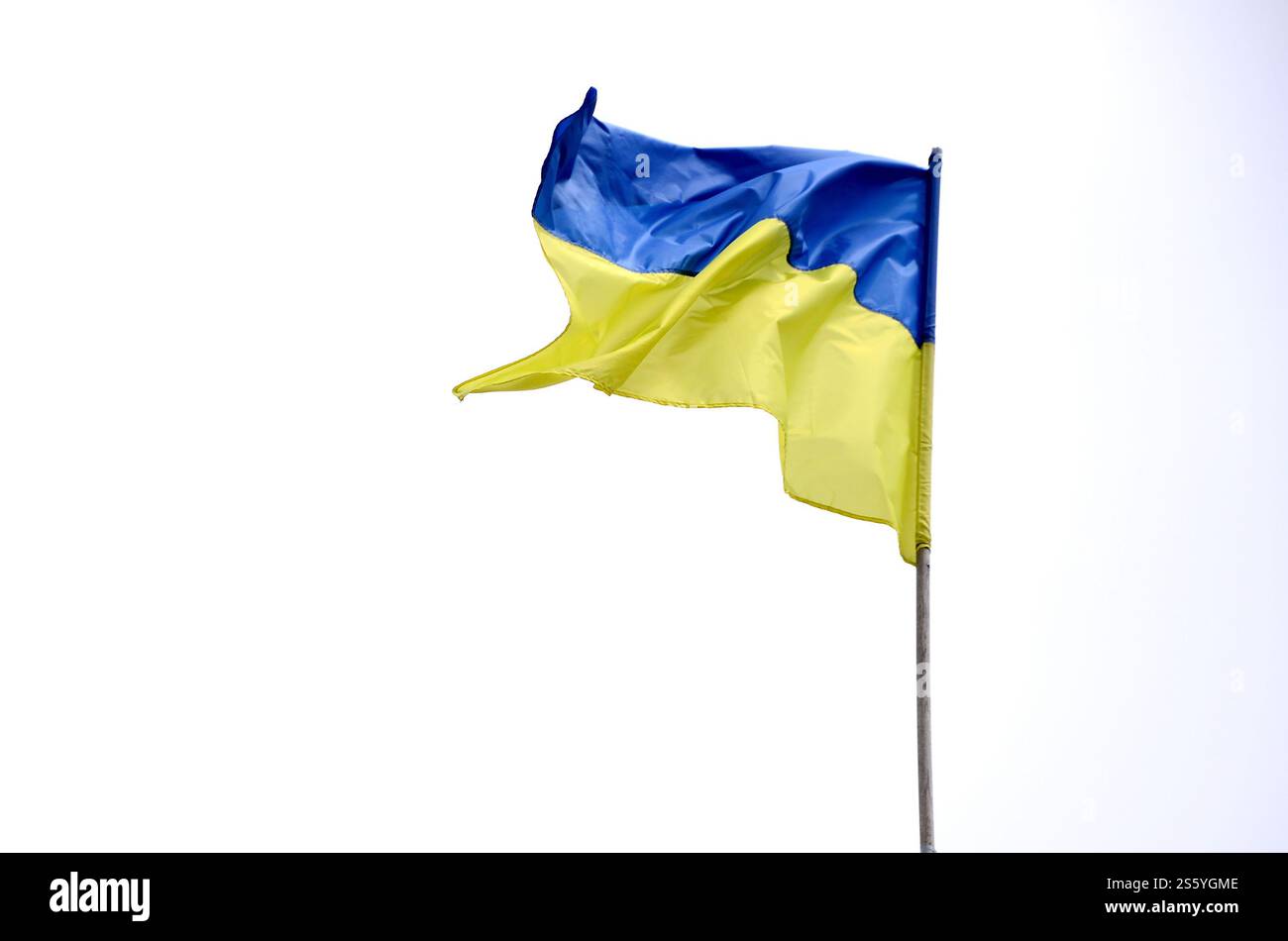 Ukrainian flag fluttering in the wind against white background ...