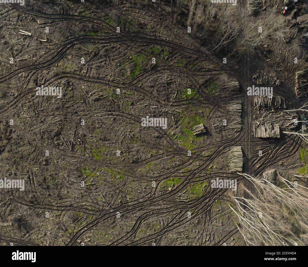 Aerial photo of a cleared forest and the deforestation process Stock ...