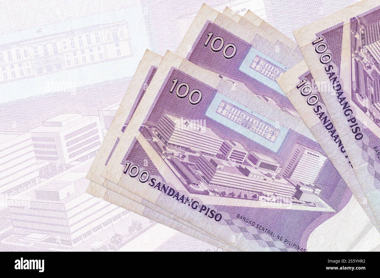 100 Philippine piso bills lies in stack on background of big semi ...