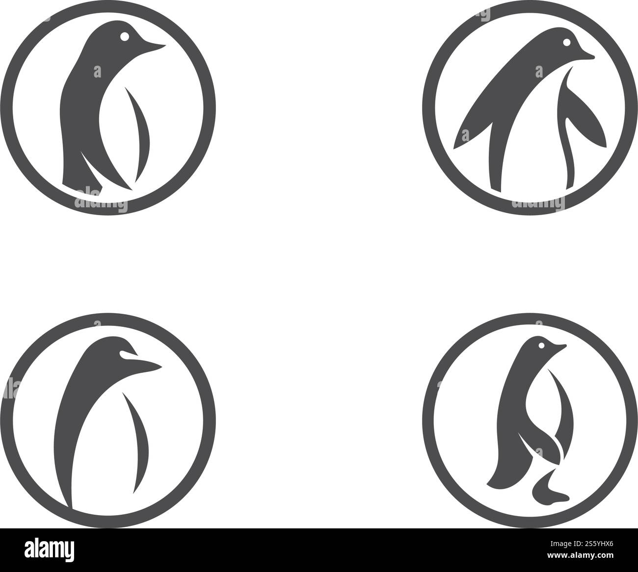 Penguin logo vector template Stock Vector Image & Art - Alamy