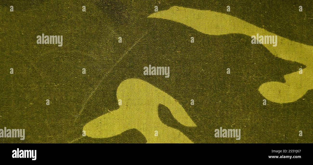 Army green woodland camouflage fabric texture background. Detailed ...