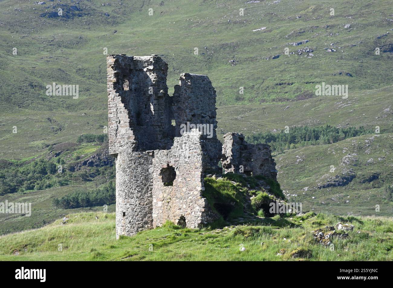The ruins of Ardvreck Castle Loch Assynt, Sutherland, Scotland, UK ...