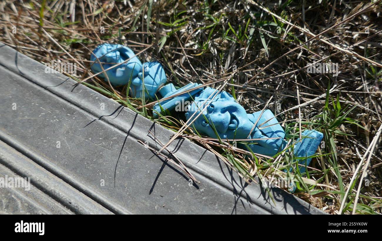 Glendale, California, USA 13th January 2025 Leota Ann Wharton Toombs ...