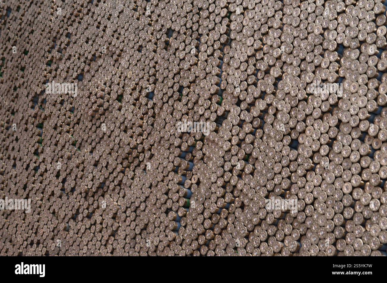 Pattern of 12 gauge cartridges for shotgun bullets. Shells for hunting ...