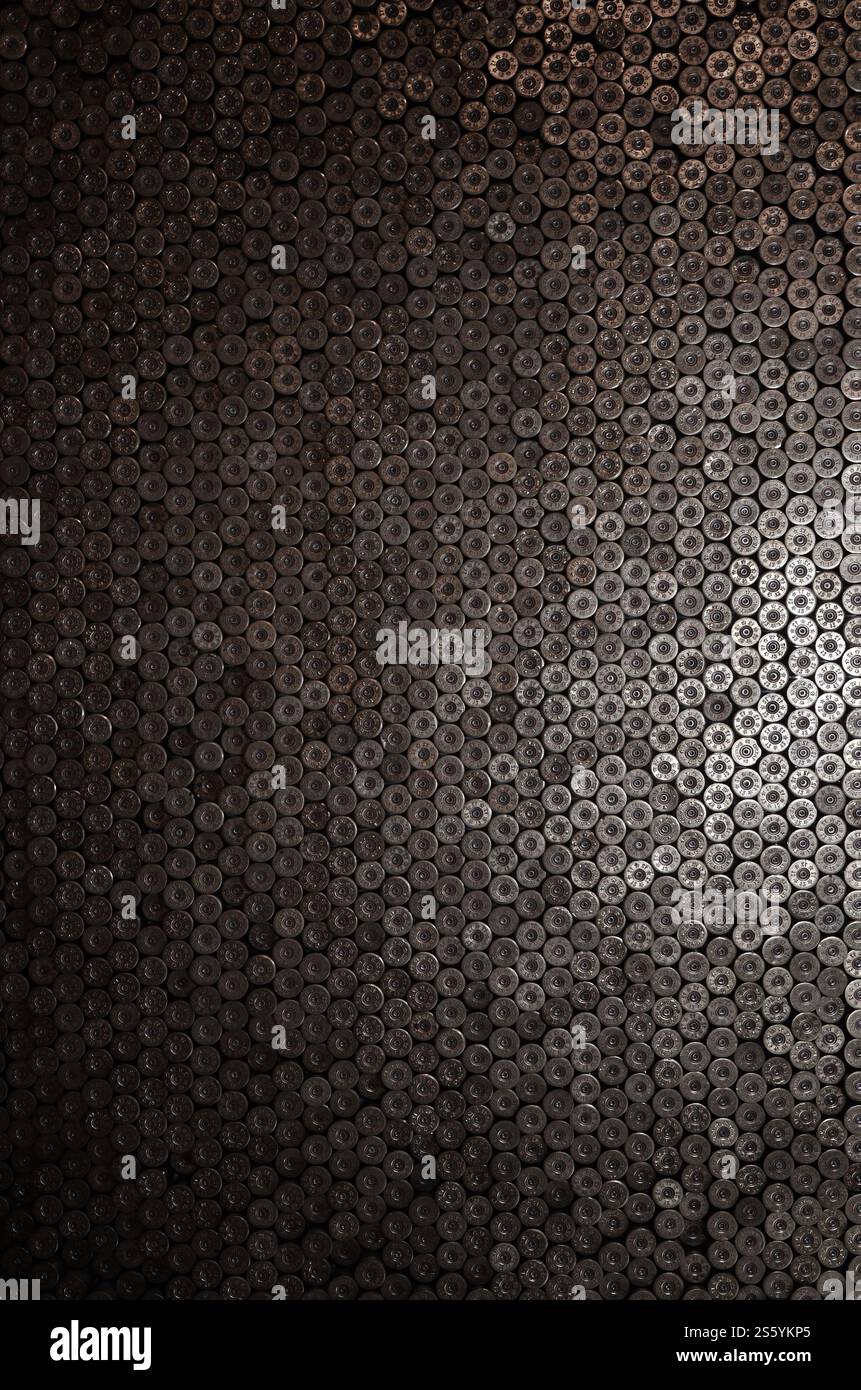 Pattern of 12 gauge cartridges for shotgun bullets. Shells for hunting ...
