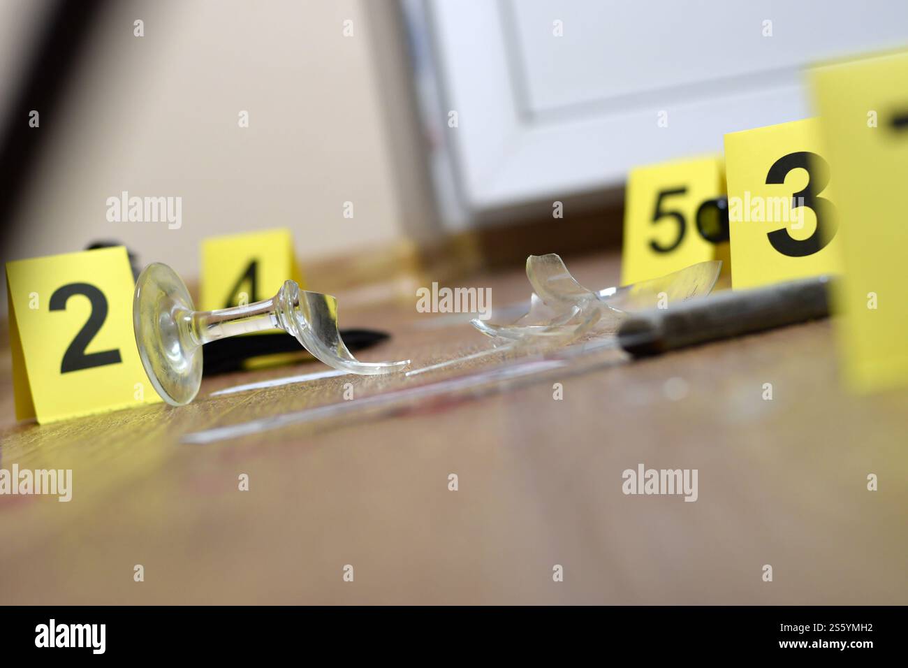 Crime scene investigation - numbering of evidences after the murder in ...