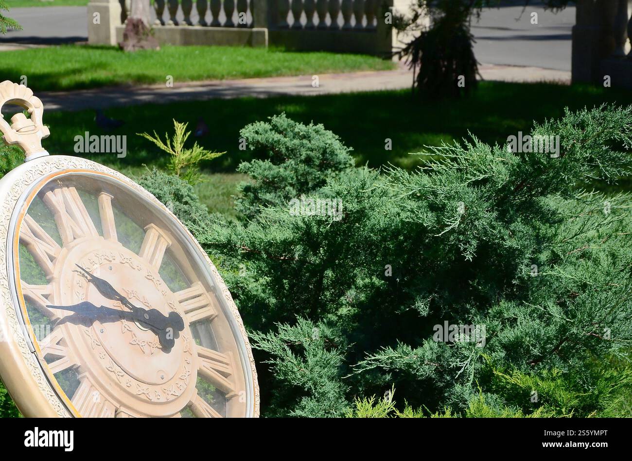 Street clock in a park under branches of trees covered with green ...