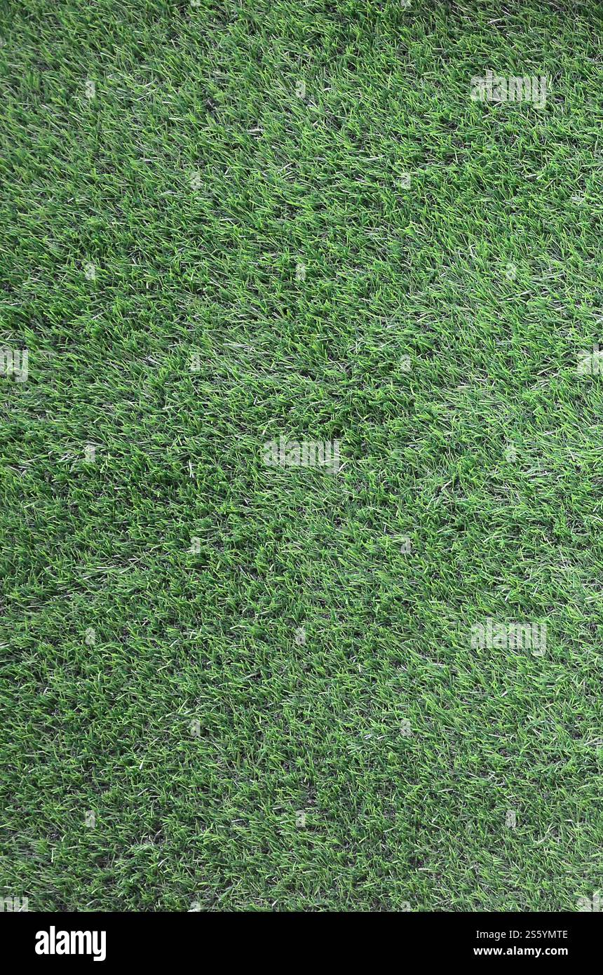Green grass background, green lawn pattern textured background. Dark ...