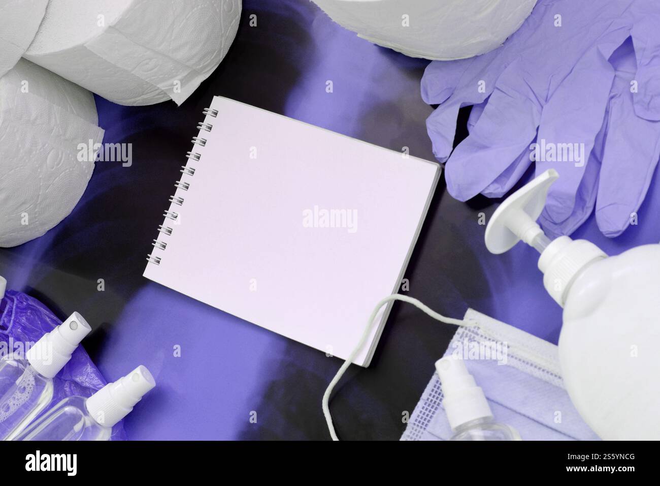 Set of items for Covid-19 quarantine. Empty notepad page and toilet ...