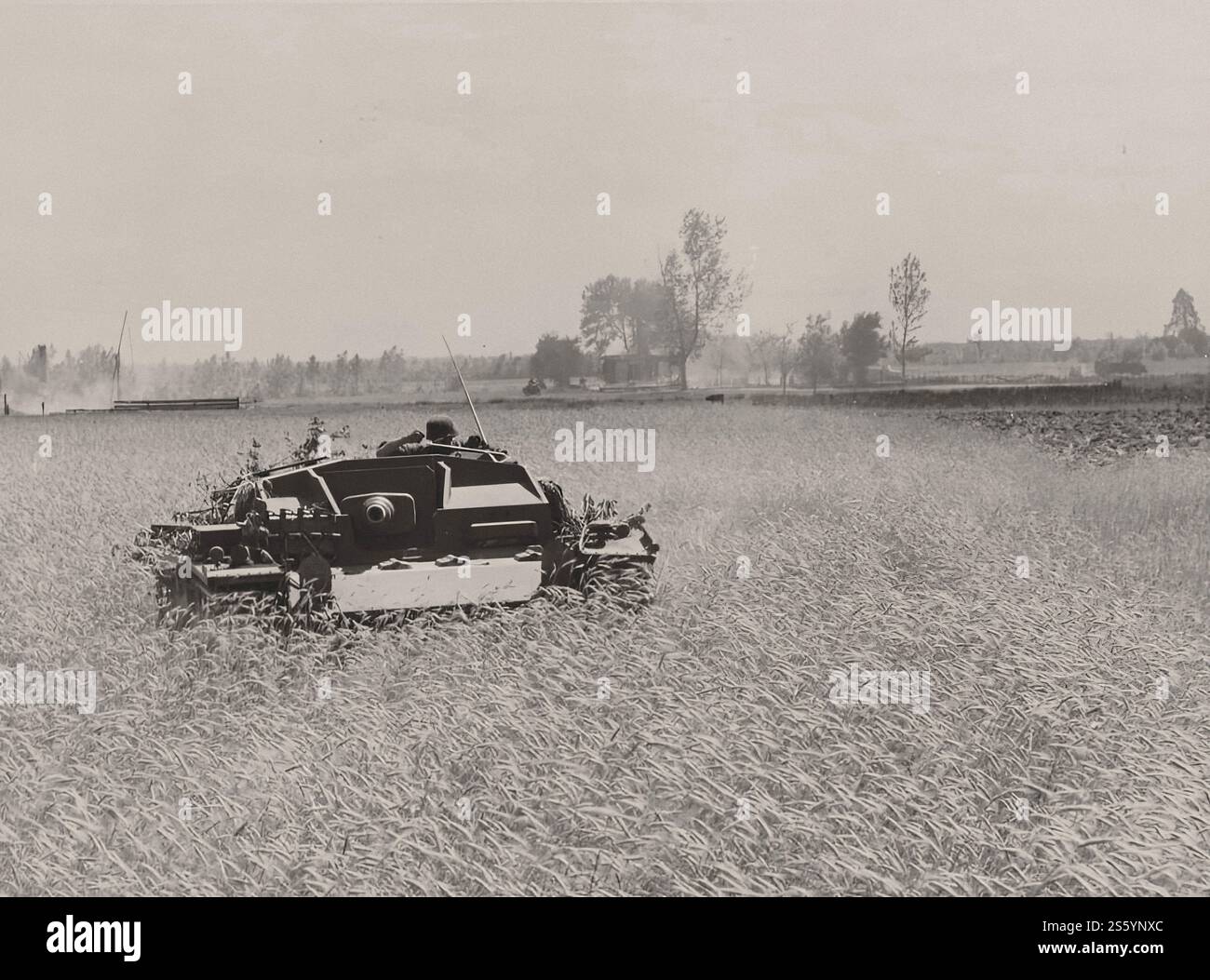 German assault gun StuG III Ausf.B in a wheat field in the USSR ...
