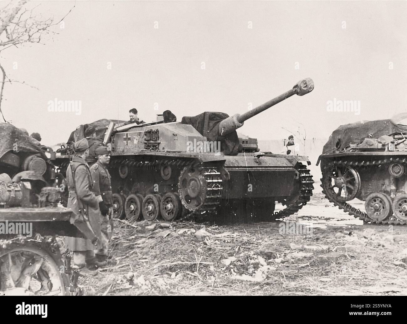 German SPG StuG.III assault gun replenish ammunition during the battle ...