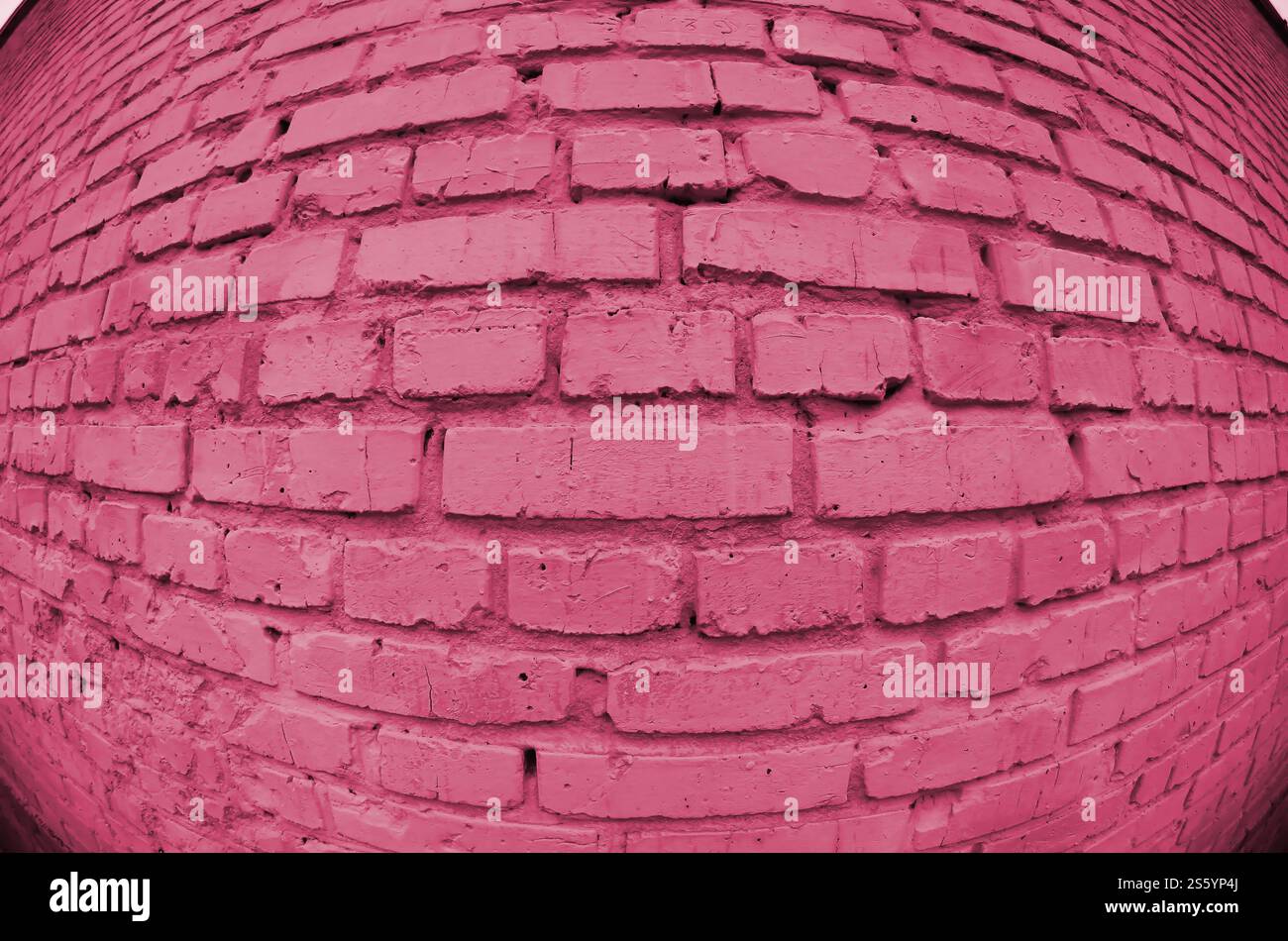 Large brick wall, Fisheye photo with pronounced distortion. Image toned in Viva Magenta, color ...