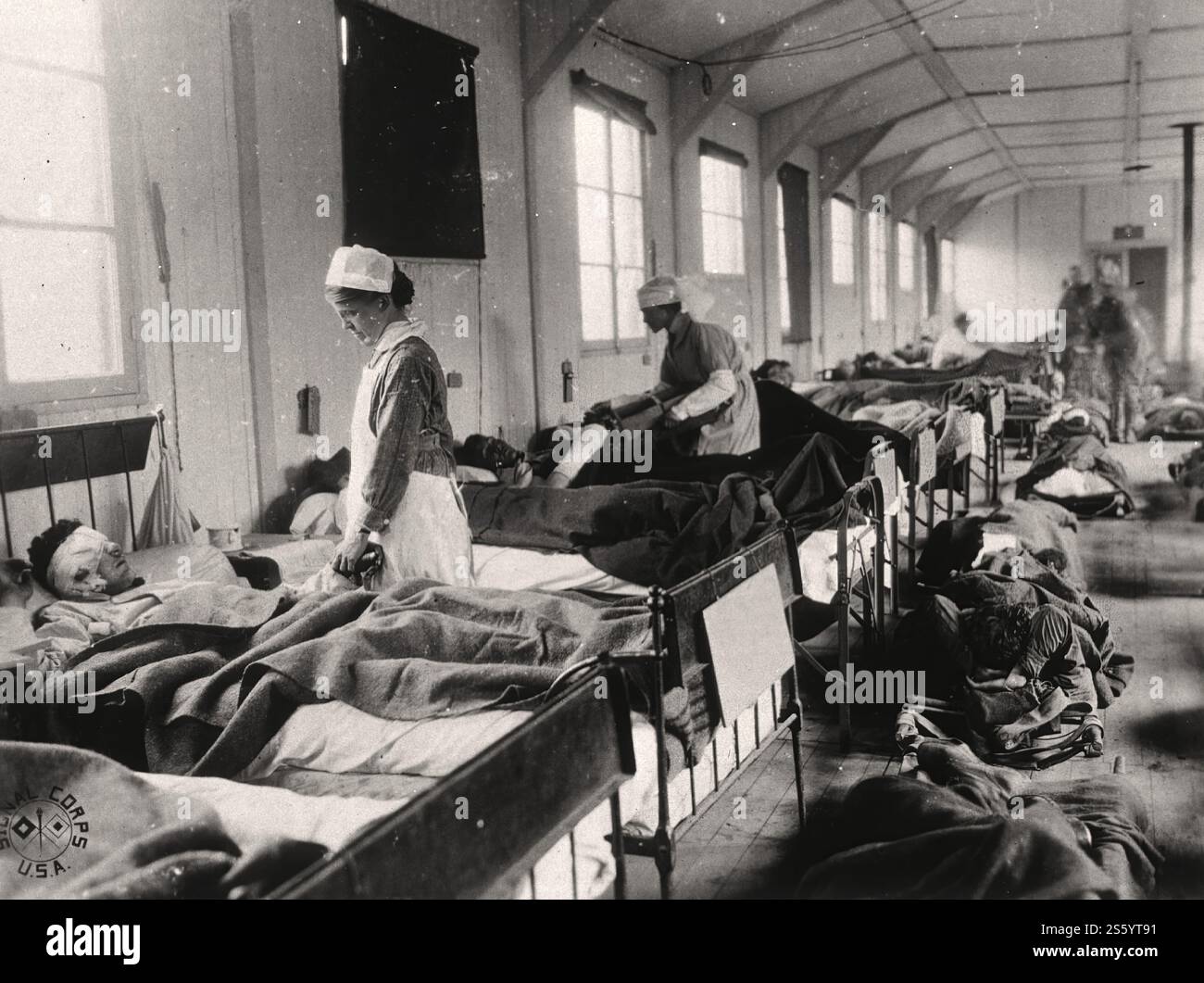 Medicine in Wartime - U.S. American National Red Cross Evacuation ...