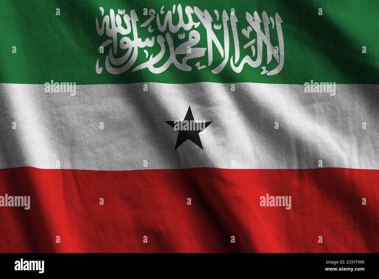 Somaliland flag with big folds waving close up under the studio light ...