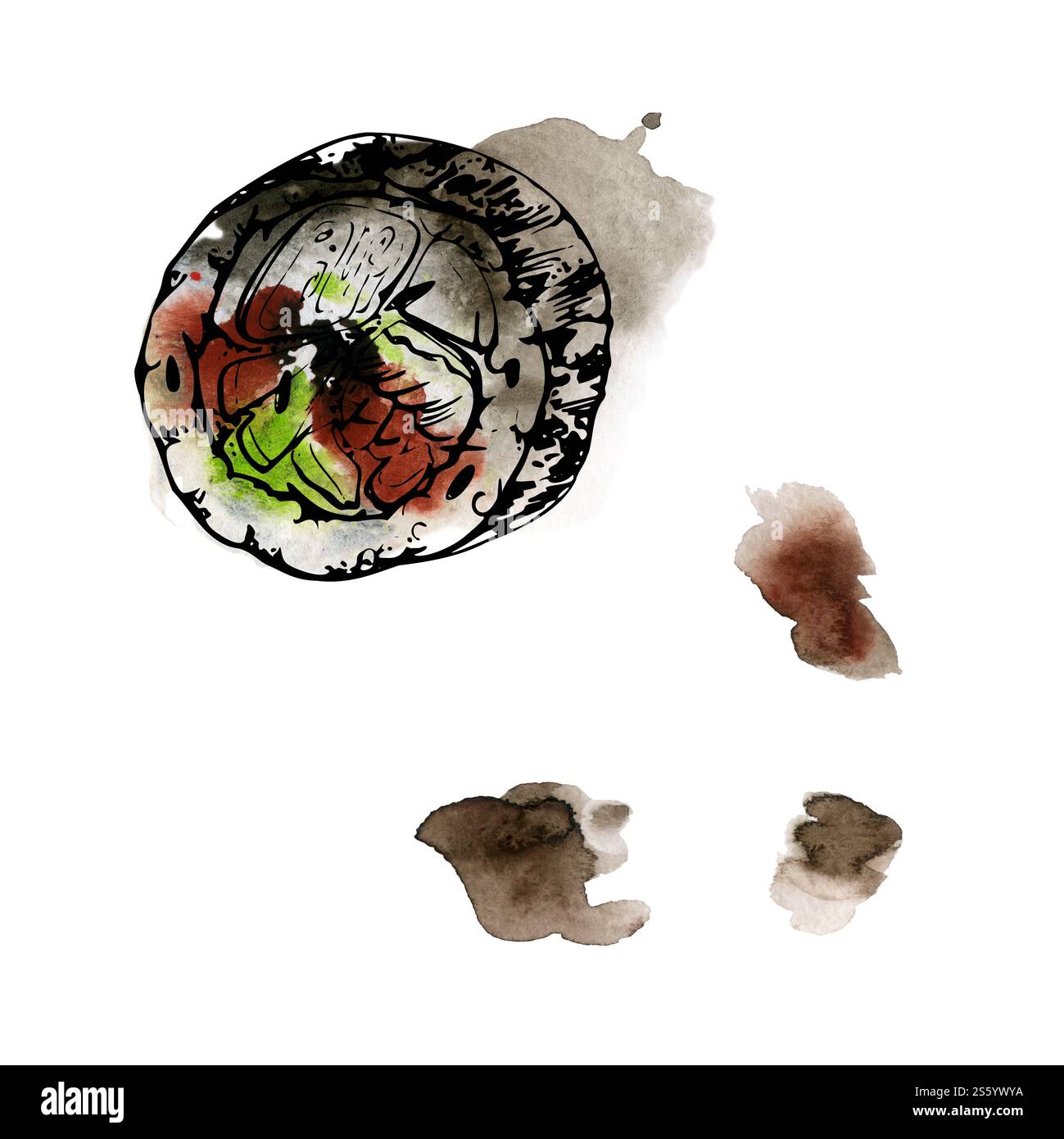 Traditional Japanese food, sushi rolls raw fish spicy unagi maki ...