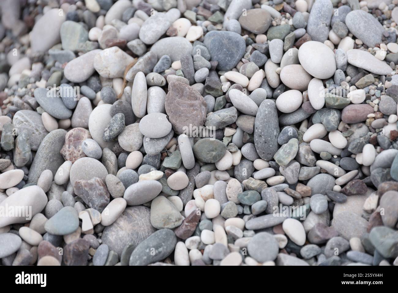 Texture of pebbles from the sea shore bank beach. Many pebbles from sea ...