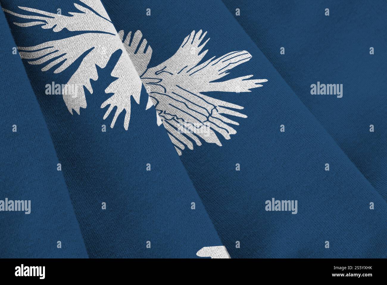South Carolina US state flag with big folds waving close up under the ...